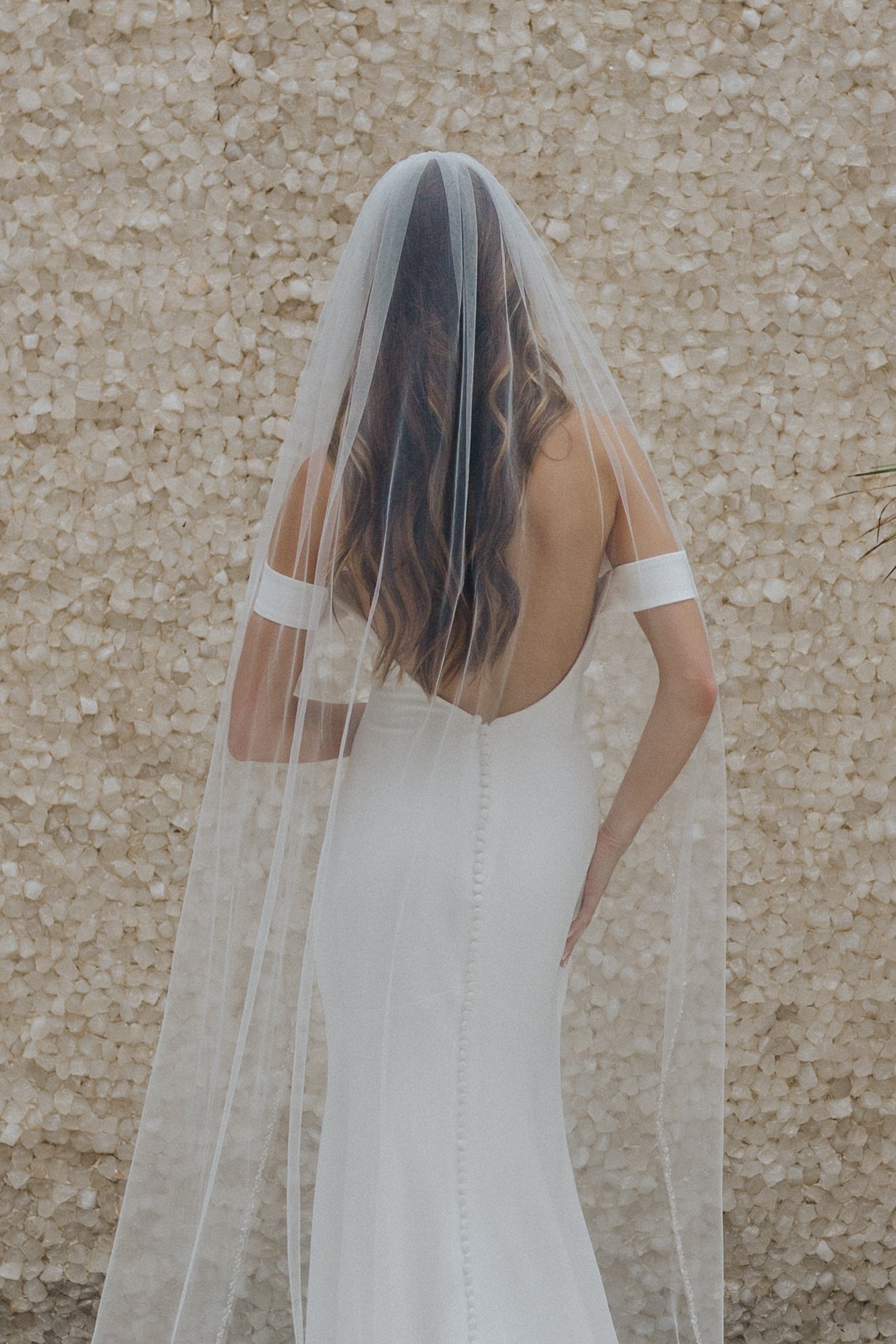 Carter Veil – Untamed Petals